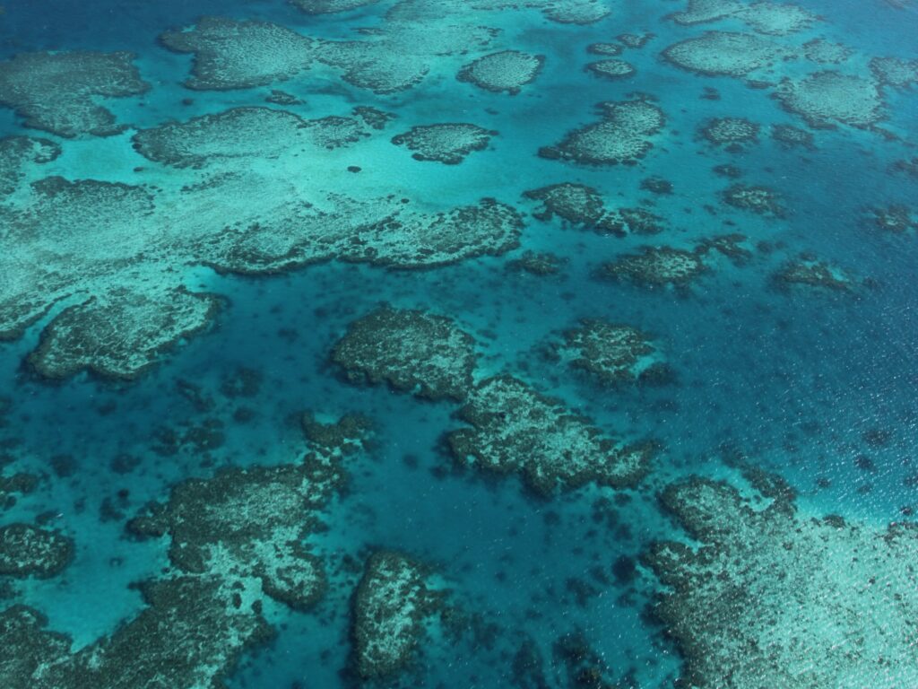 Ruta Costa Este de Australia | Guía completa de viaje